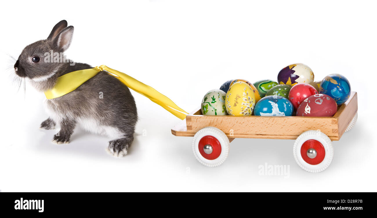 Little gray easter bunny pulling a cart filled with easter eggs Stock ...