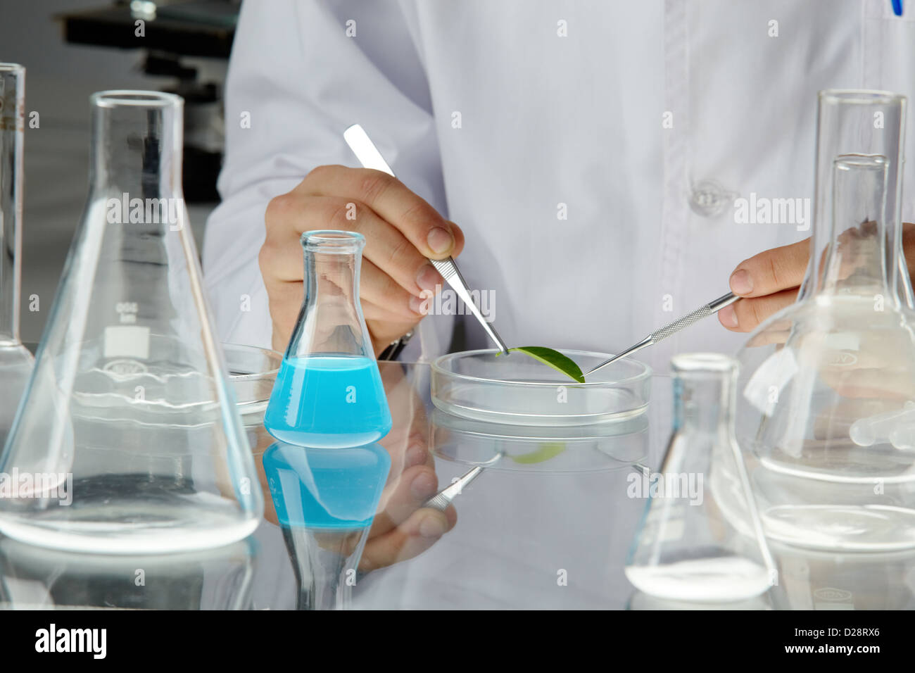 Hands of clinician holding steel tools during scientific experiment in ...