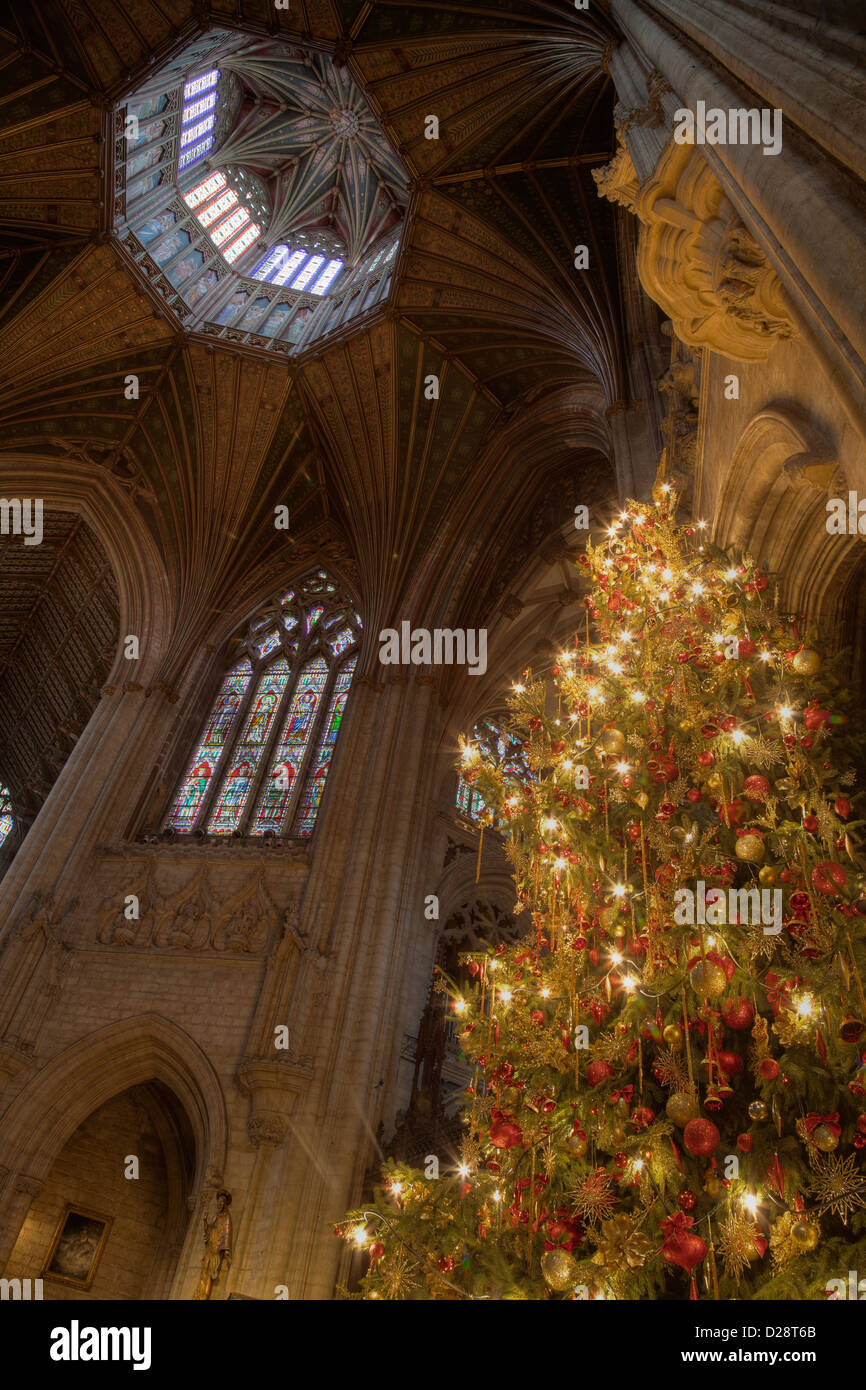 Ely Cathedral Christmas tree Stock Photo - Alamy