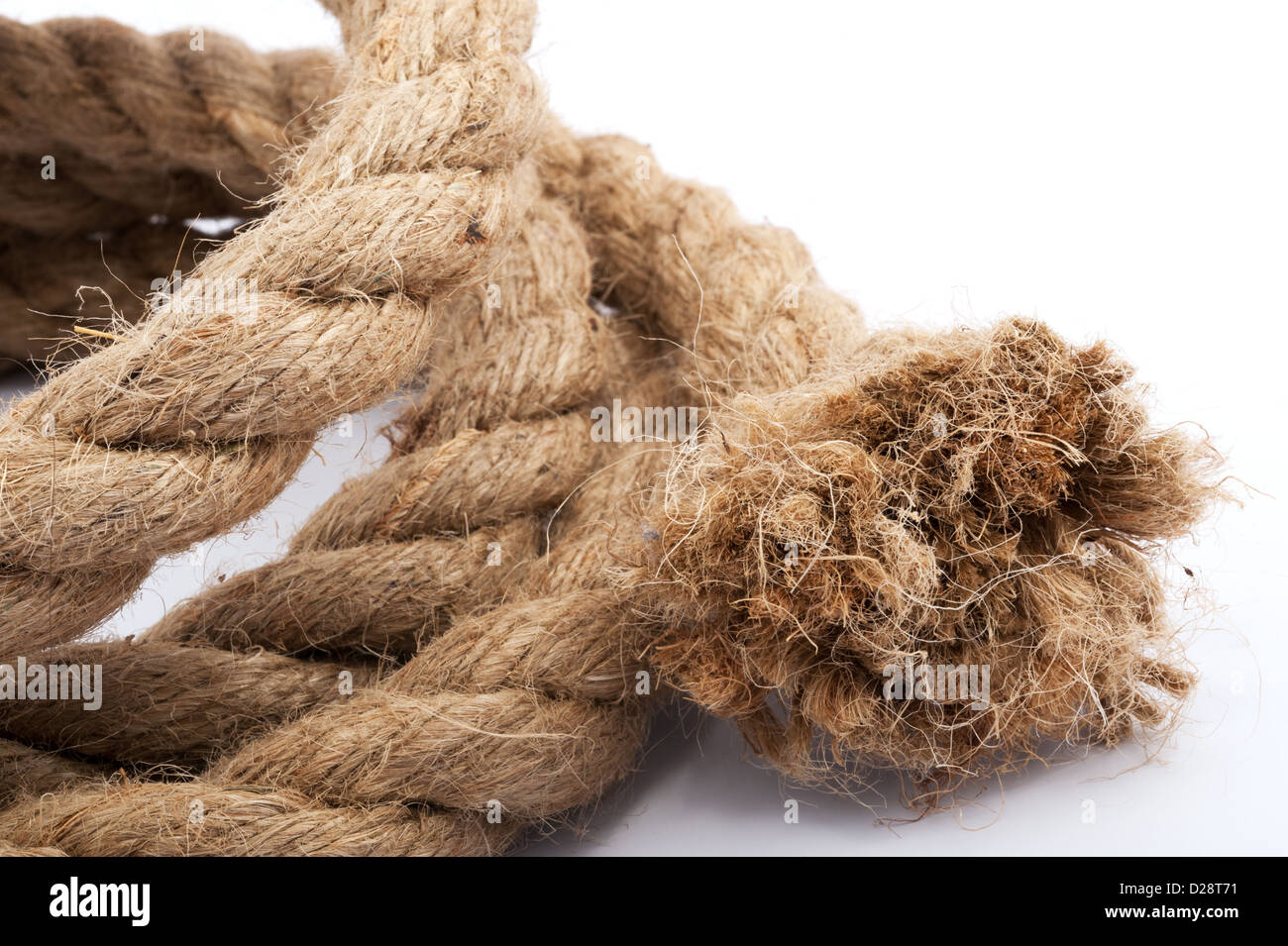 rope curve putting on white background Stock Photo - Alamy