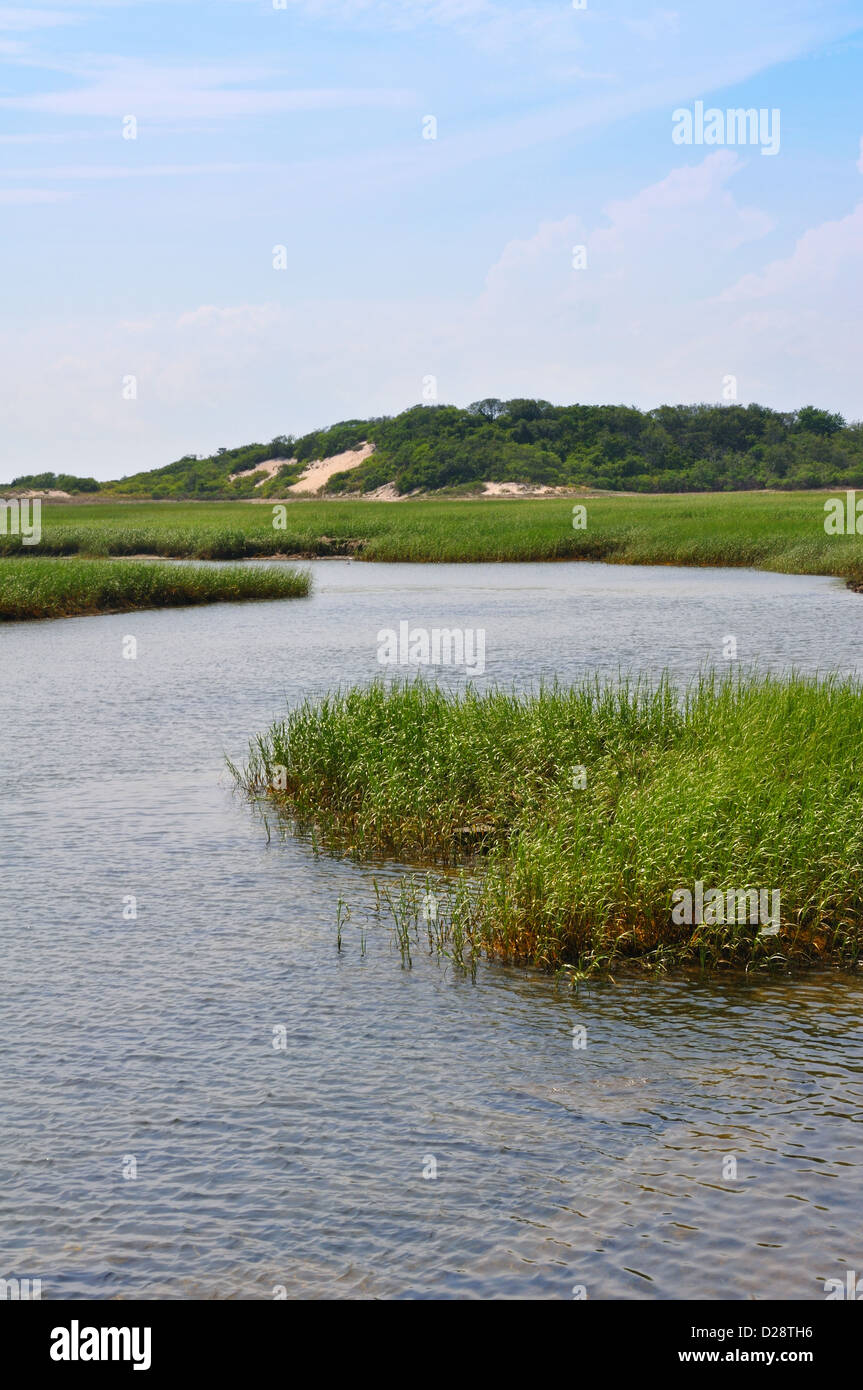 Salt Marshes on Cape Cod, Massachusetts, USA Stock Photo - Alamy