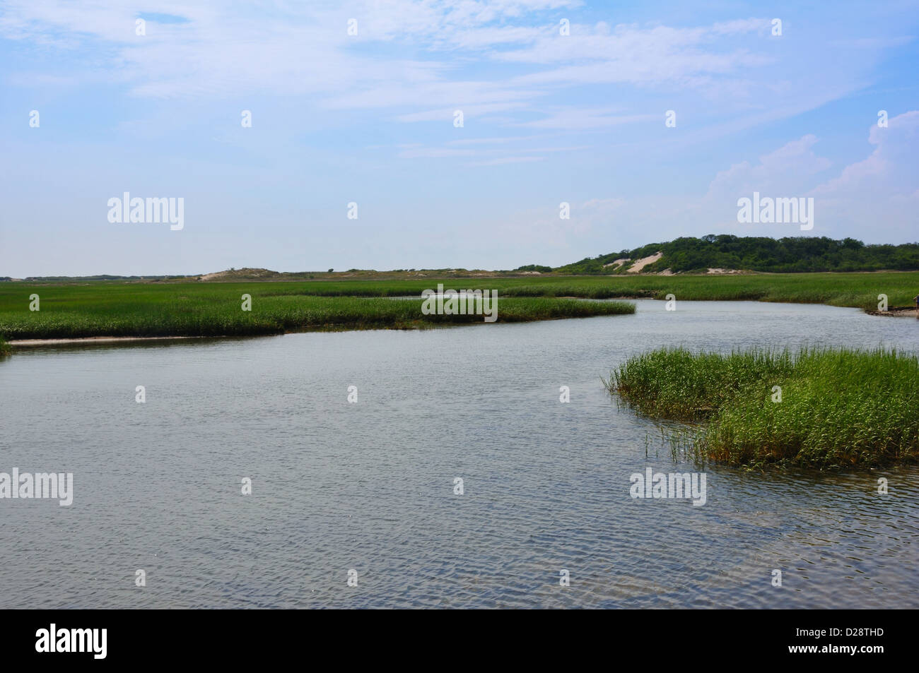 Salt Marshes on Cape Cod, Massachusetts, USA Stock Photo - Alamy