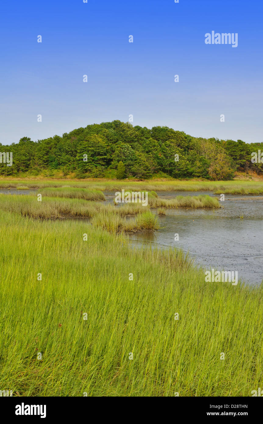 Salt Marshes on Cape Cod, Massachusetts, USA Stock Photo - Alamy