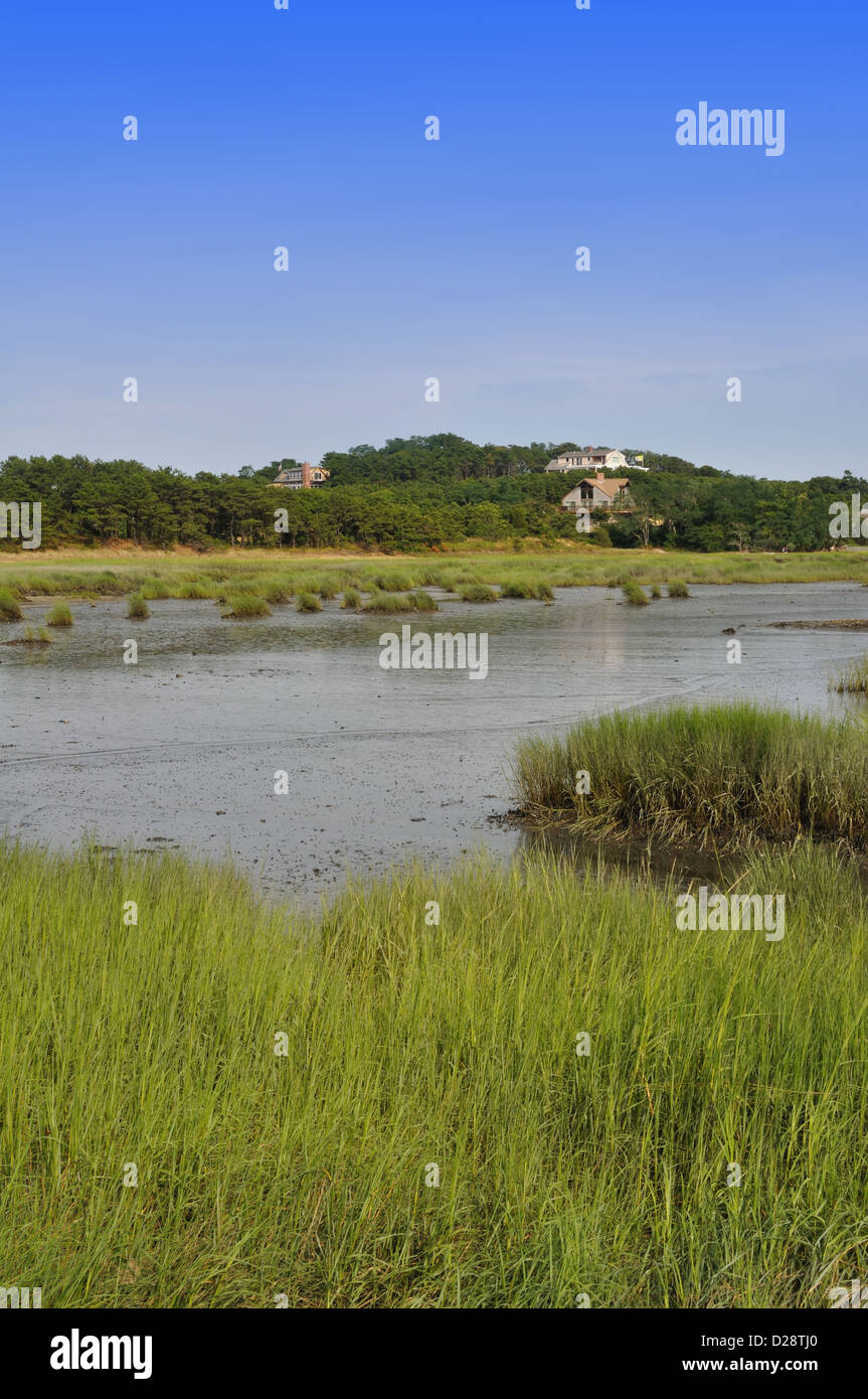 Salt Marshes on Cape Cod, Massachusetts, USA Stock Photo - Alamy