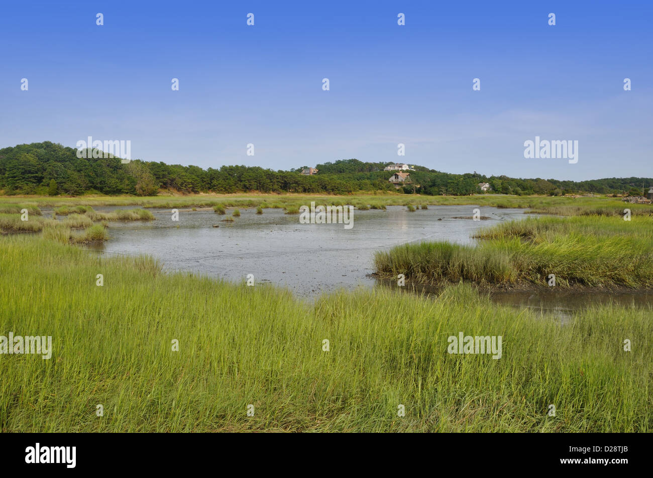 Salt Marshes on Cape Cod, Massachusetts, USA Stock Photo - Alamy