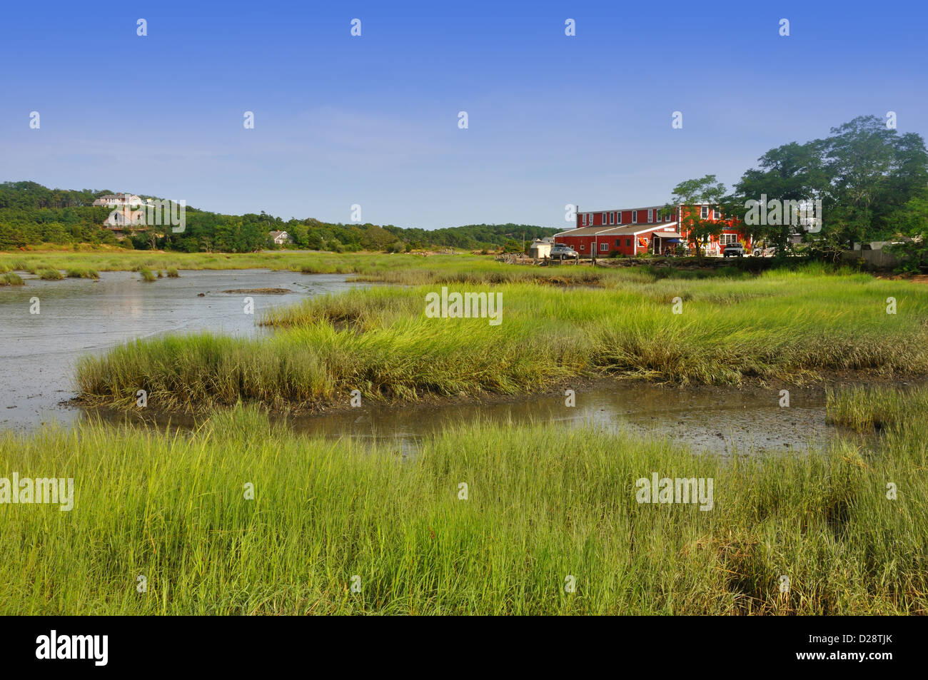 Salt Marshes on Cape Cod, Massachusetts, USA Stock Photo - Alamy