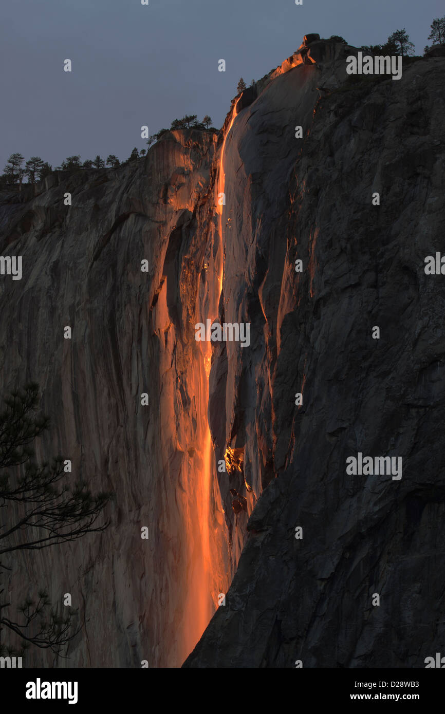 Horsetail falls in Yosemite is illuminated in the early evening light ...