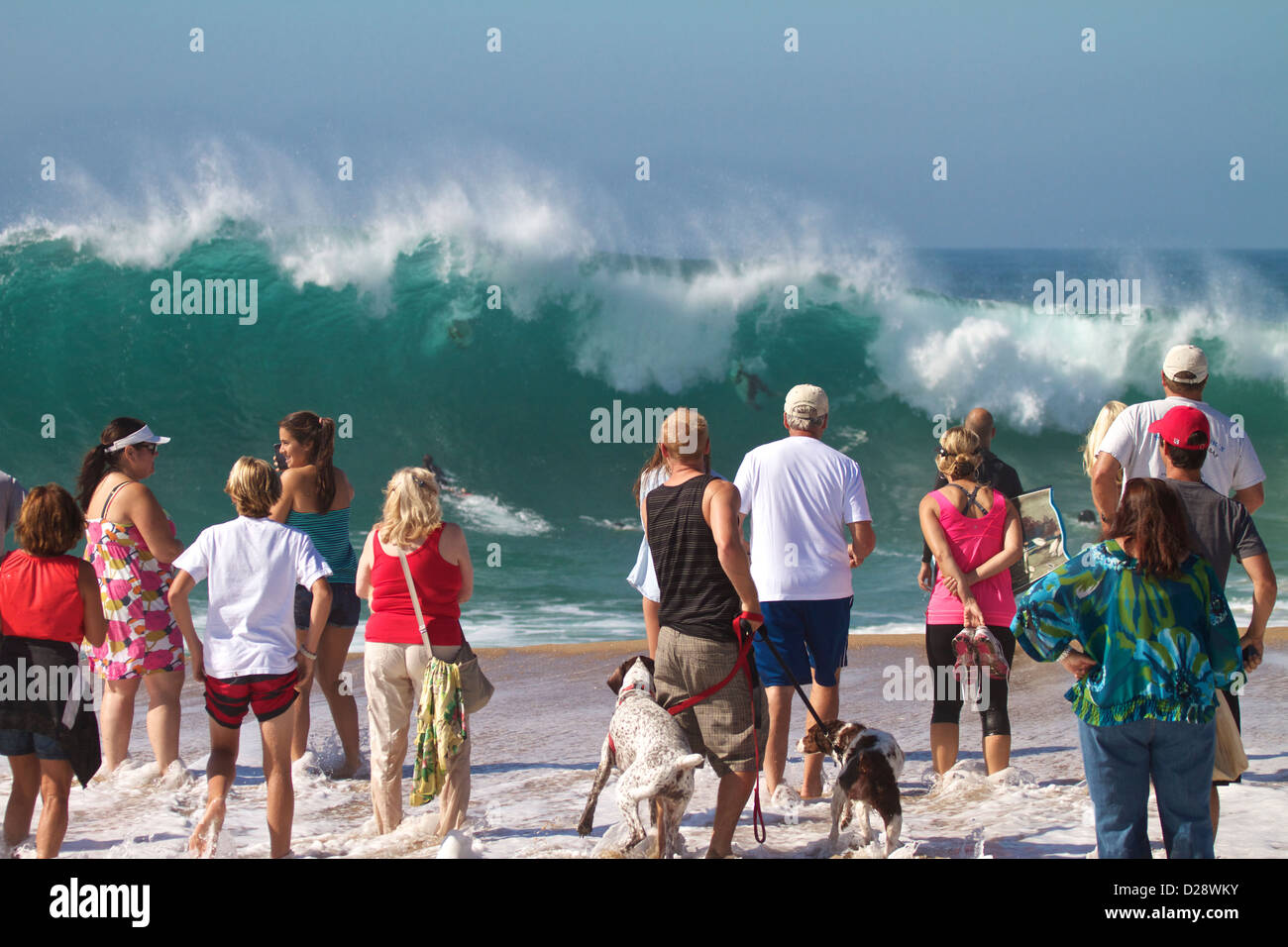 Crowd watching surfers hi-res stock photography and images - Alamy