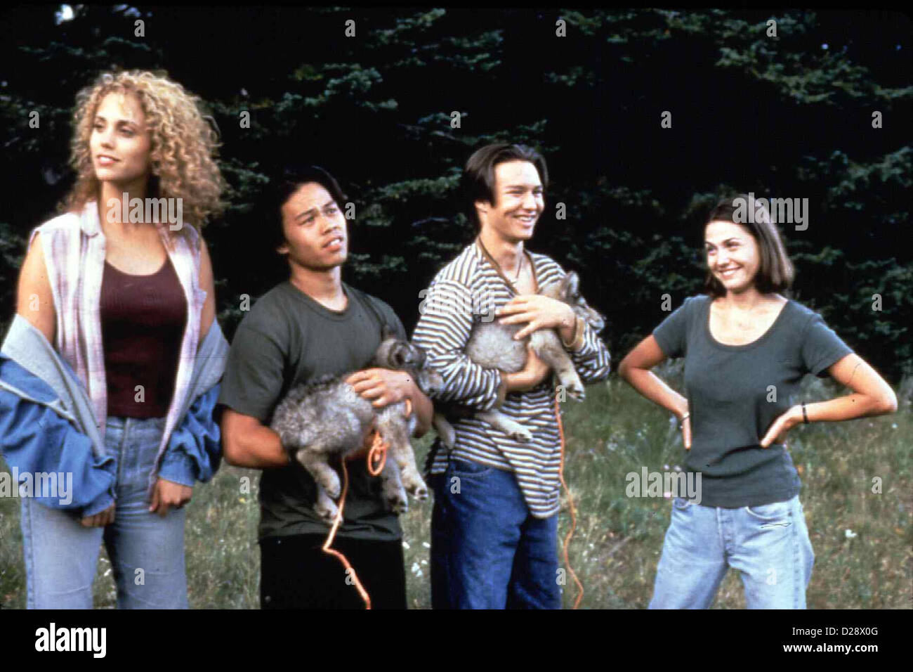 Abenteuer In Der Wildnis White Wolves Ii: Legend Wild Crystal ...