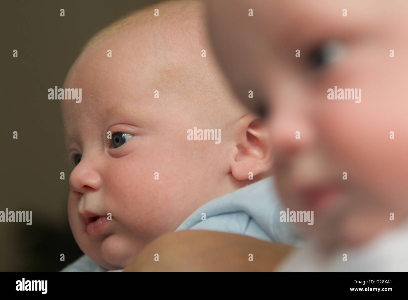 Twin baby boys Stock Photo - Alamy
