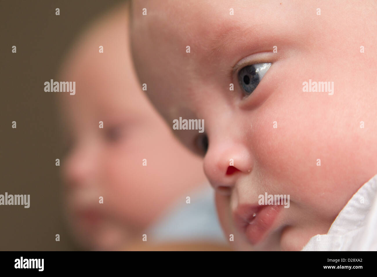Twin baby boys Stock Photo - Alamy