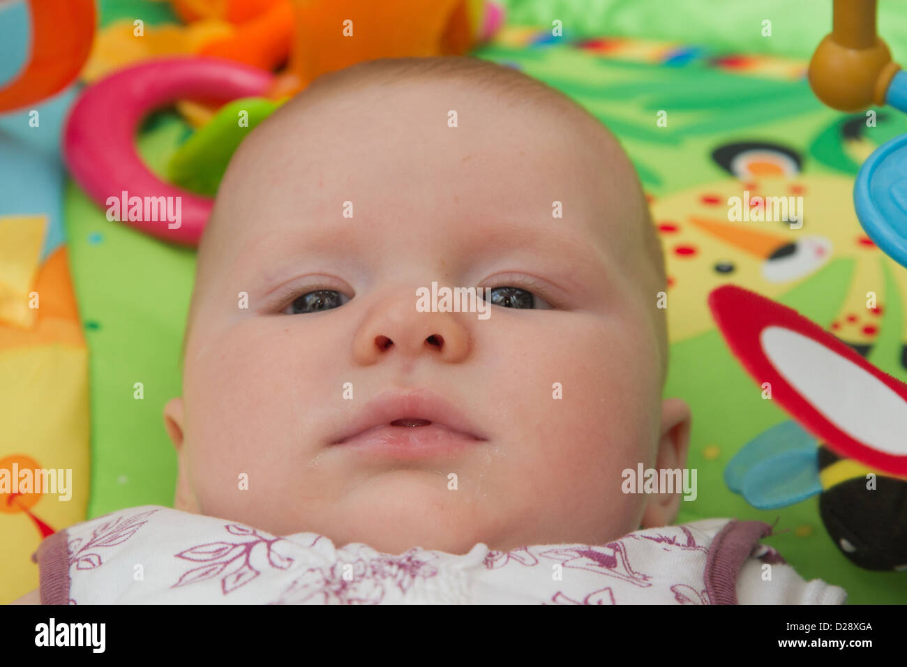 Baby in baby gym Stock Photo - Alamy