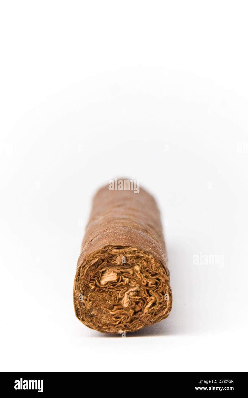 Cigar cigars Cut Out Stock Images & Pictures - Alamy
