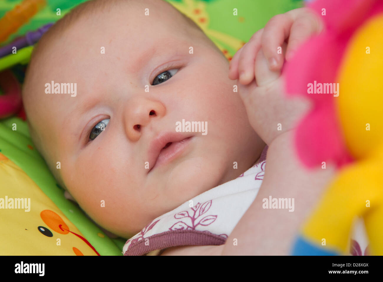Baby in baby gym Stock Photo - Alamy