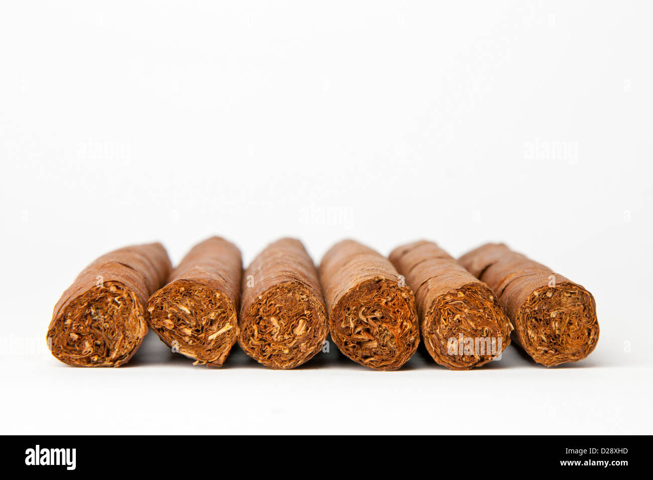 Cigar cigars Cut Out Stock Images & Pictures - Alamy