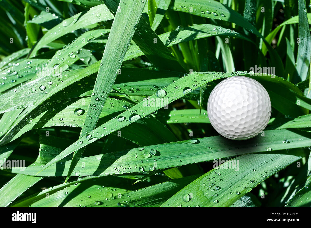 Golf ball drop hi-res stock photography and images - Alamy