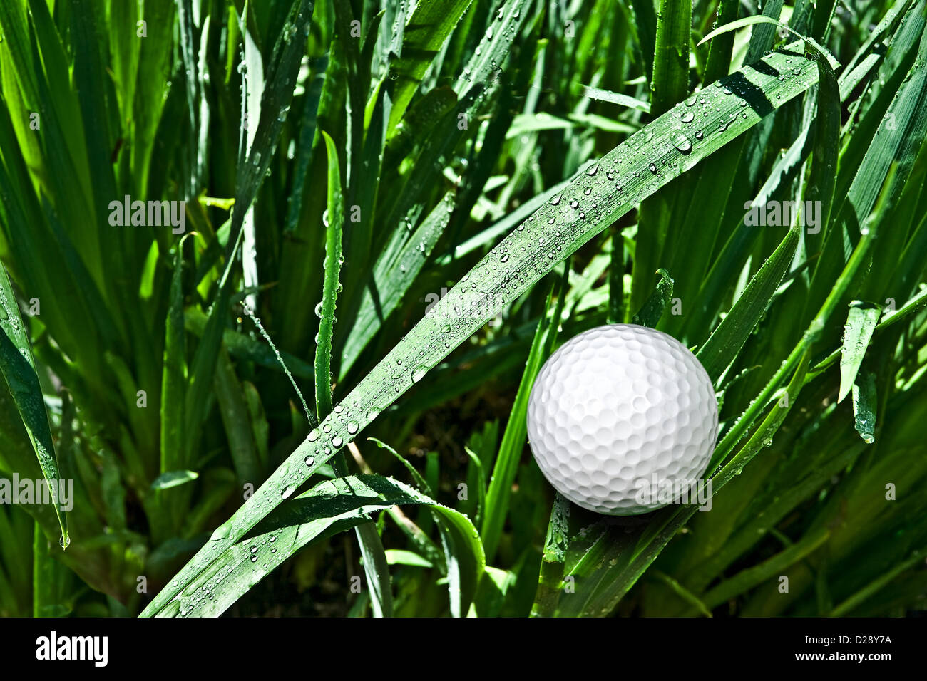 Golf ball drop hi-res stock photography and images - Alamy