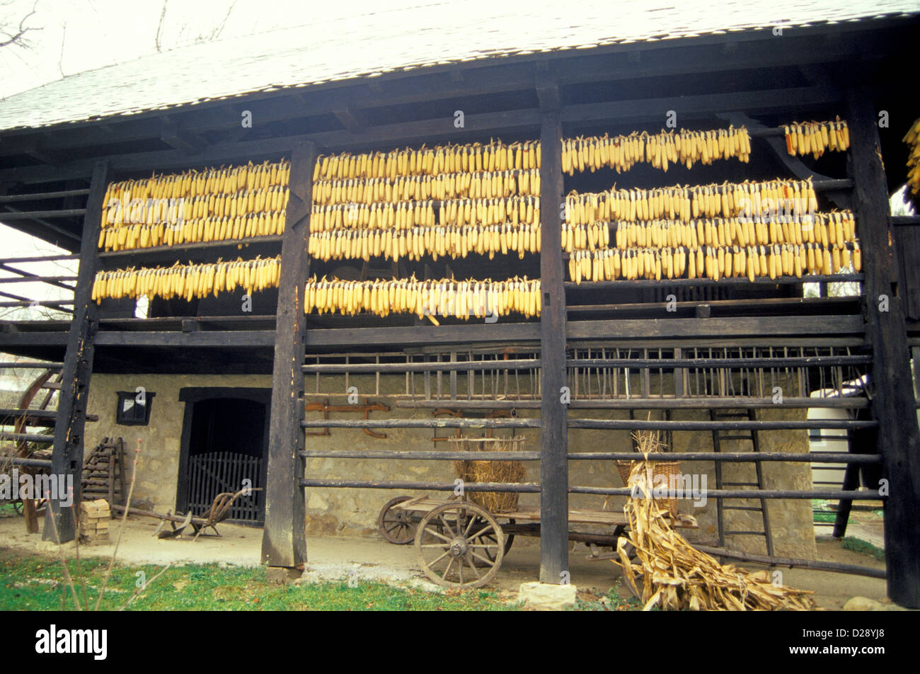 Croatia.Barn Exterior With Corn Drying Stock Photo - Alamy