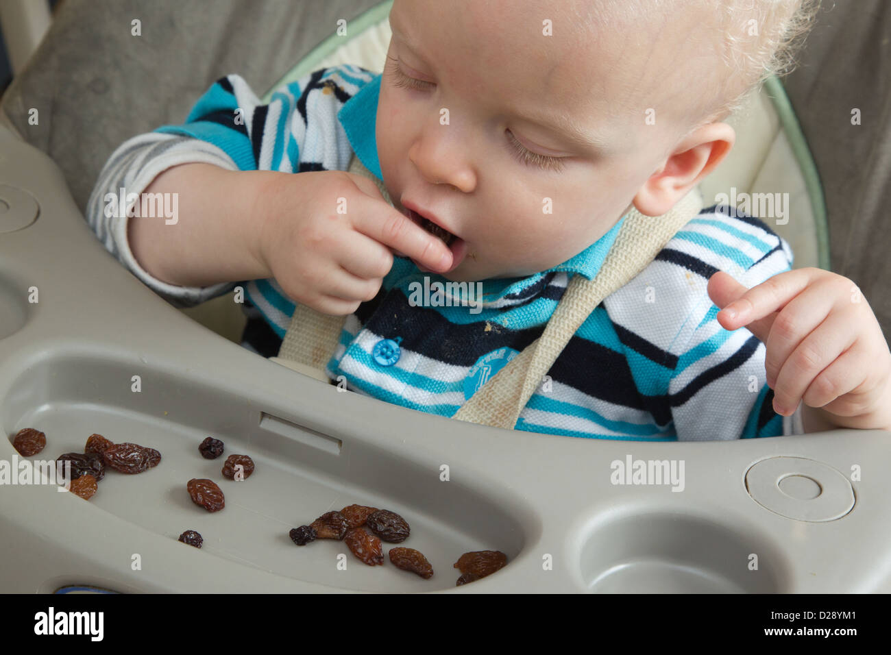 Small boy eating raisins Stock Photo - Alamy