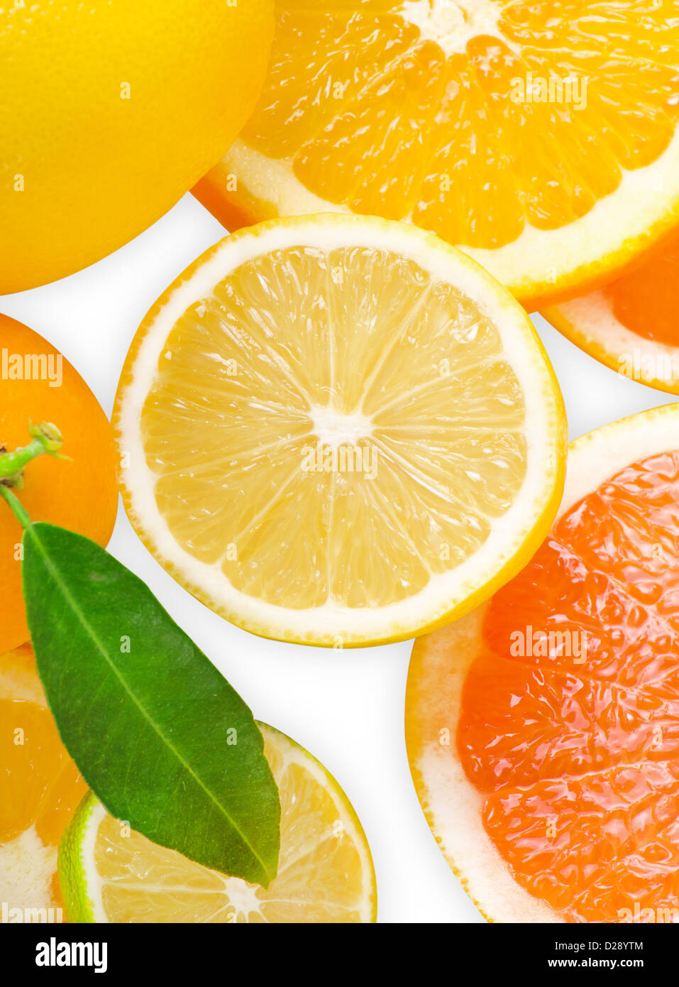 Mix of citrus slice isolated on white Stock Photo - Alamy