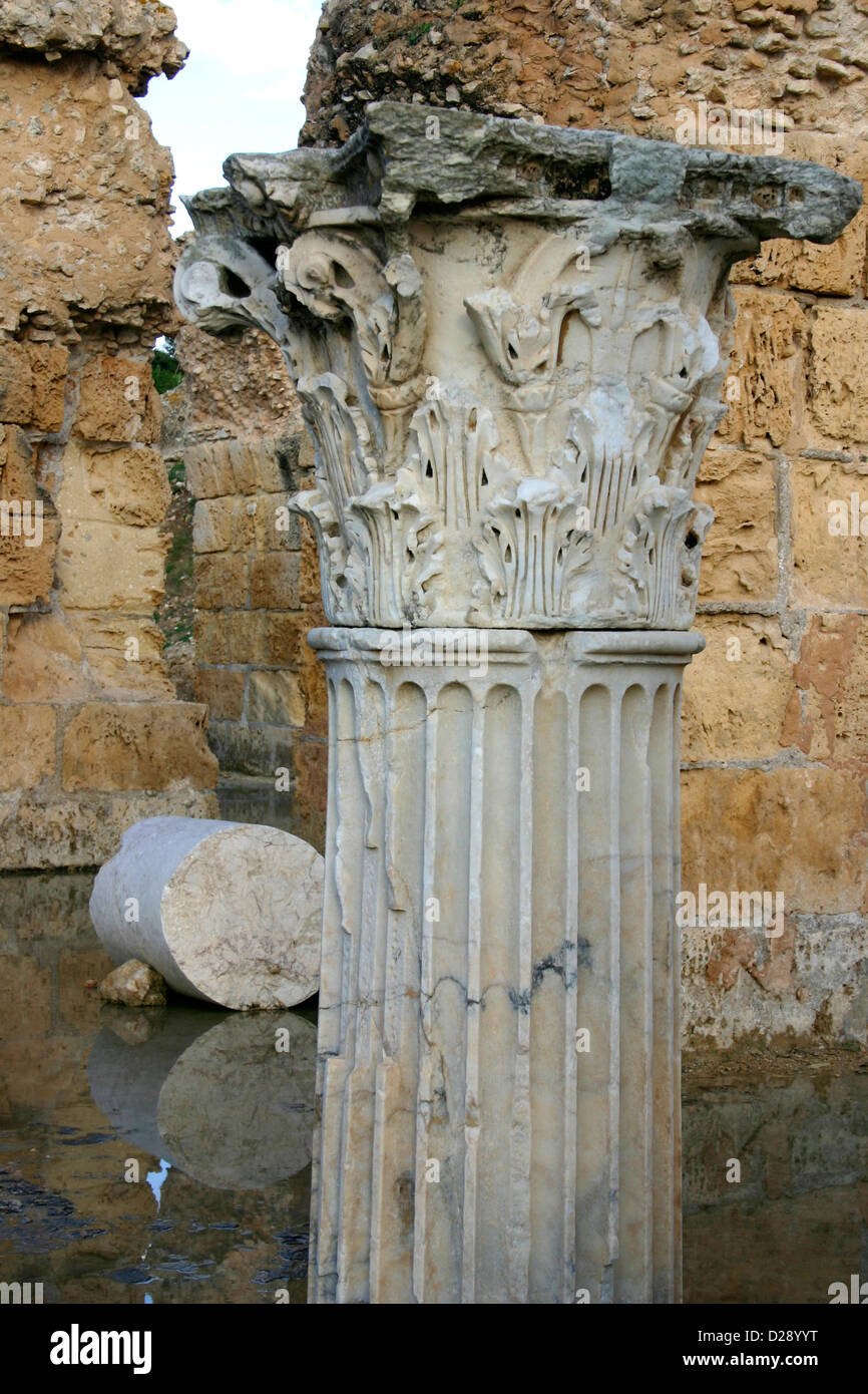 Tunisia, Carthage. Ancient Roman Column Stock Photo - Alamy