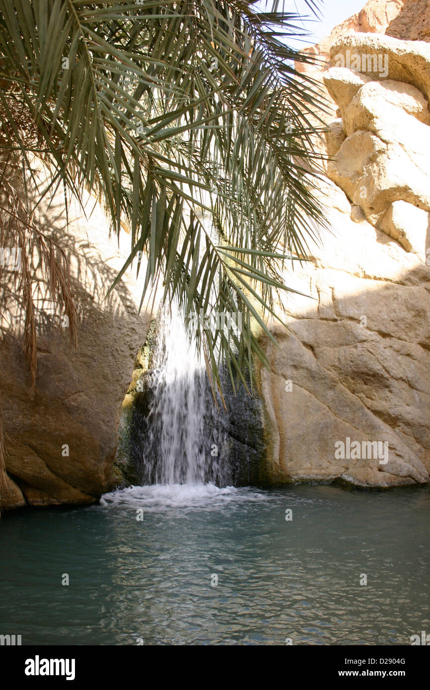 Tunisia, Chebika. Oasis Stock Photo - Alamy