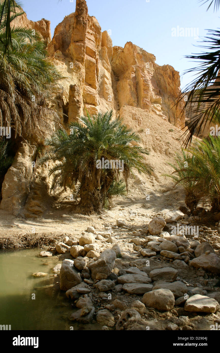 Tunisia, Chebika. Oasis Stock Photo - Alamy