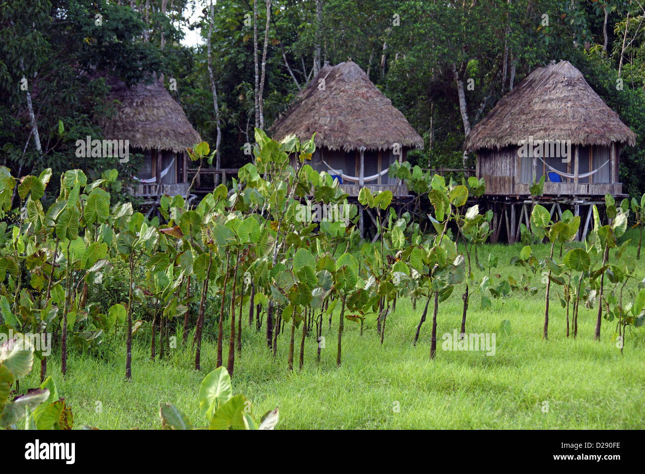 Ecuador. Kapawi Ecolodge Stock Photo - Alamy