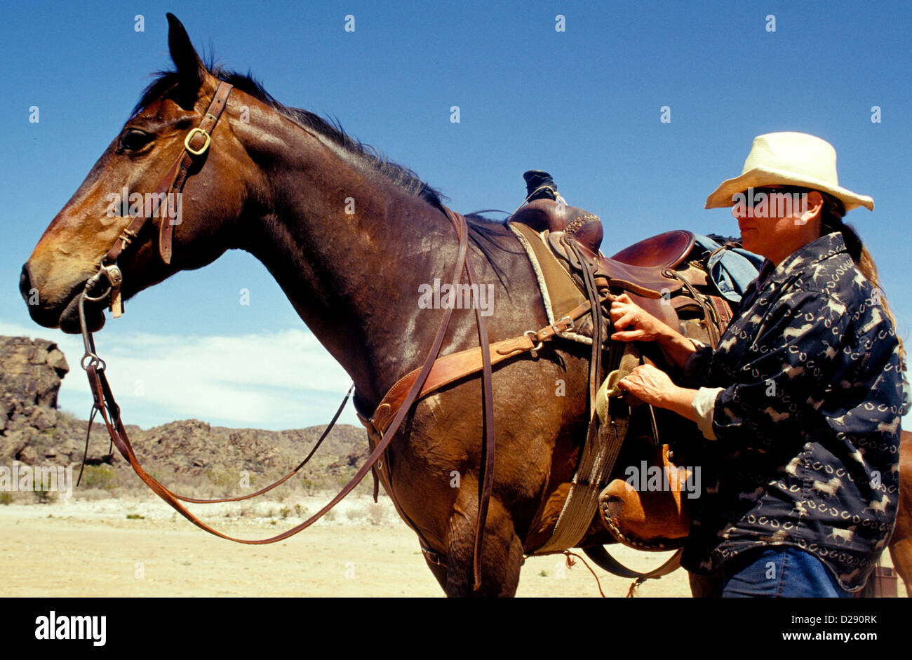 West texas big bend ranch woman and horse hi-res stock photography and ...