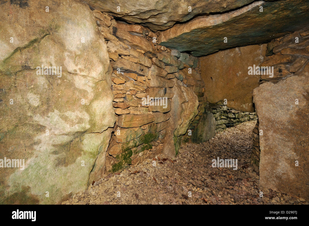 Hetty Pegler's Tump, Uley Long Barrow 3000BC View of entrance from ...