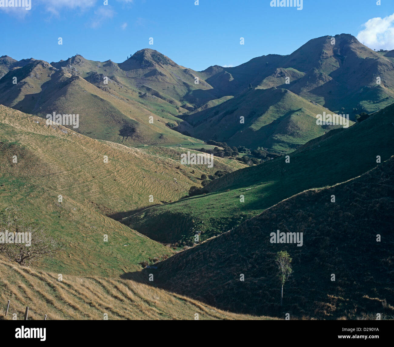 Wairapapa hi-res stock photography and images - Alamy