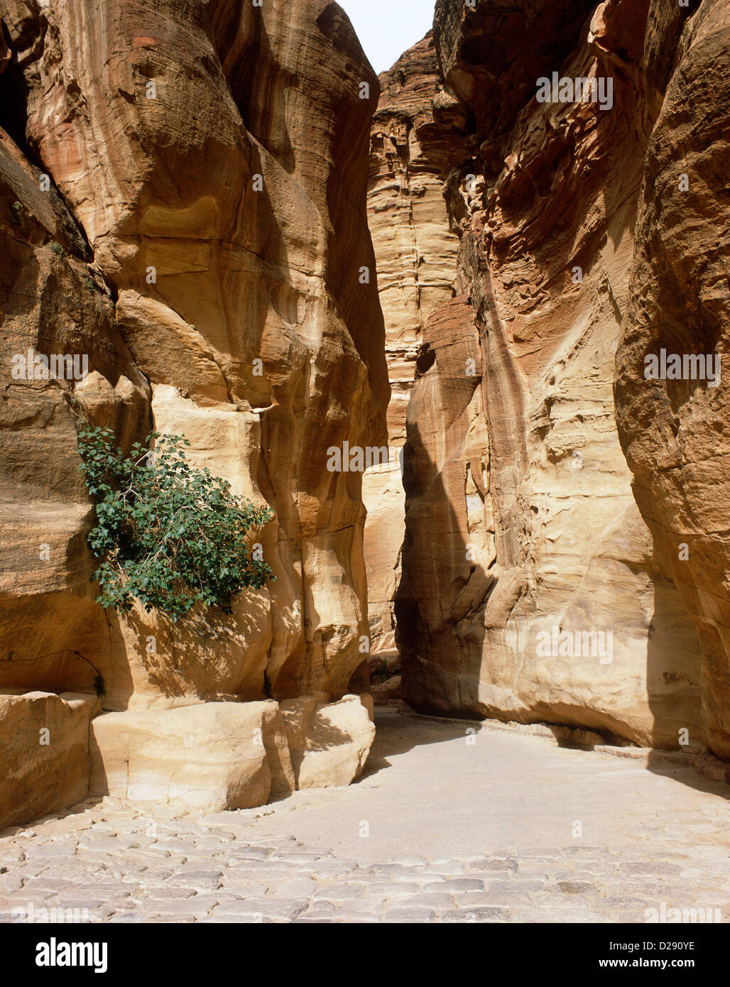 The Siq, Petra, Jordan Stock Photo - Alamy