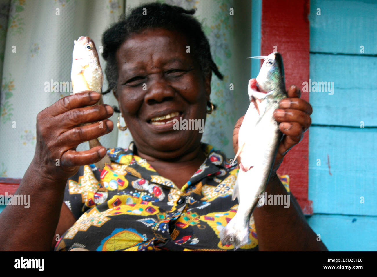Creole woman cleaning fish for boil up hi-res stock photography and ...