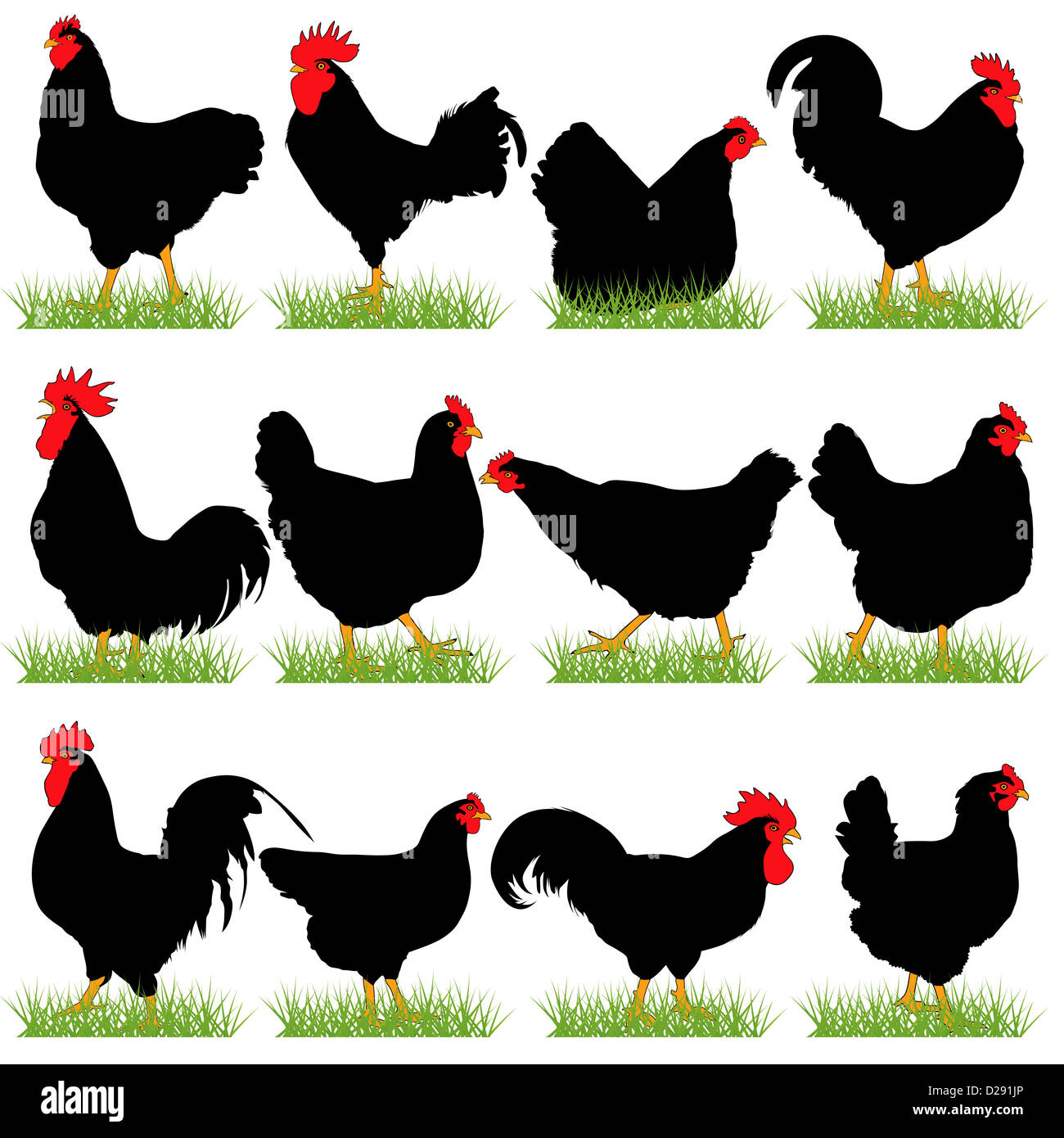 12 Roosters and Hans Silhouettes Set Stock Photo - Alamy