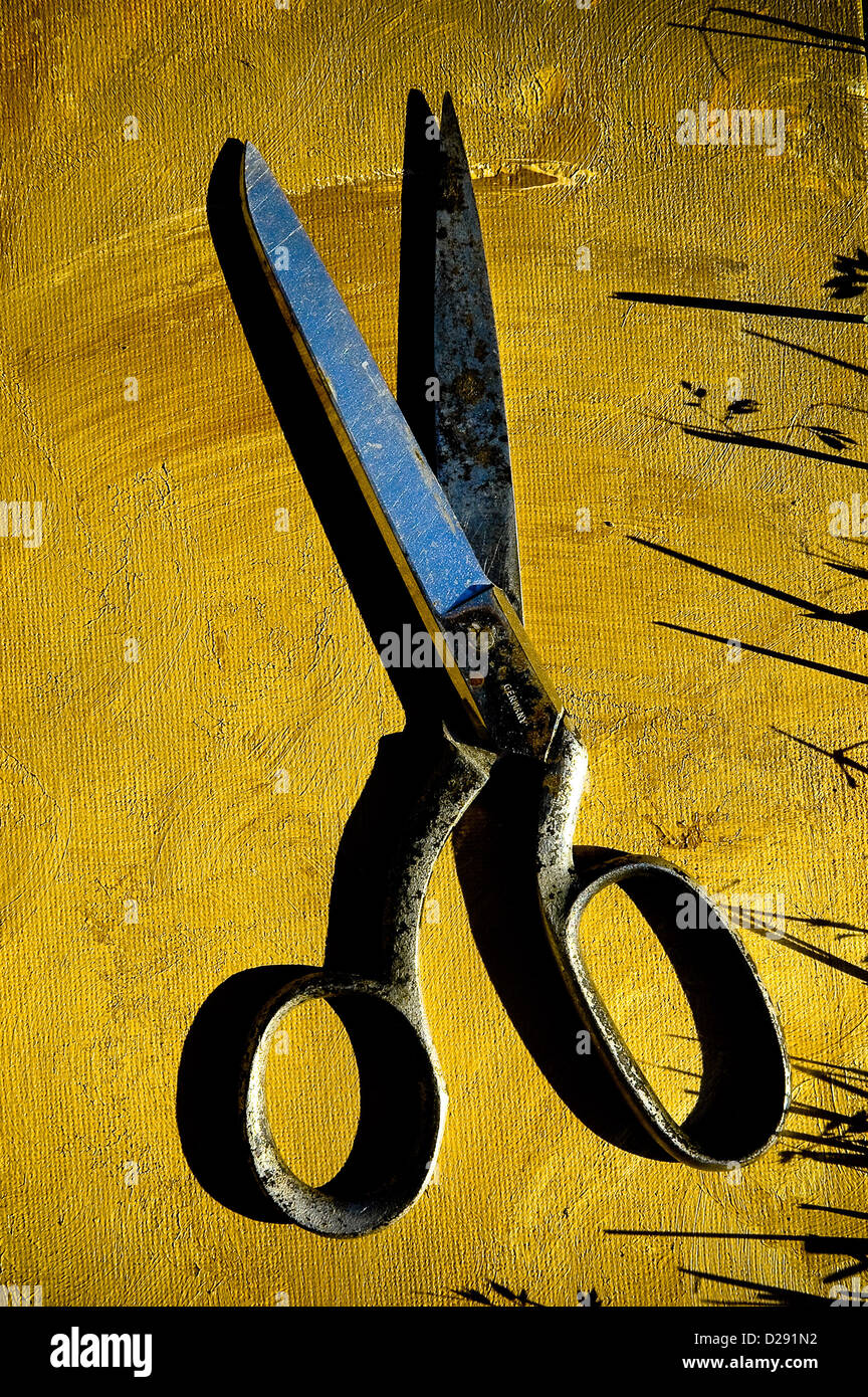 Photo photos pictures photographs hi-res stock photography and images ...