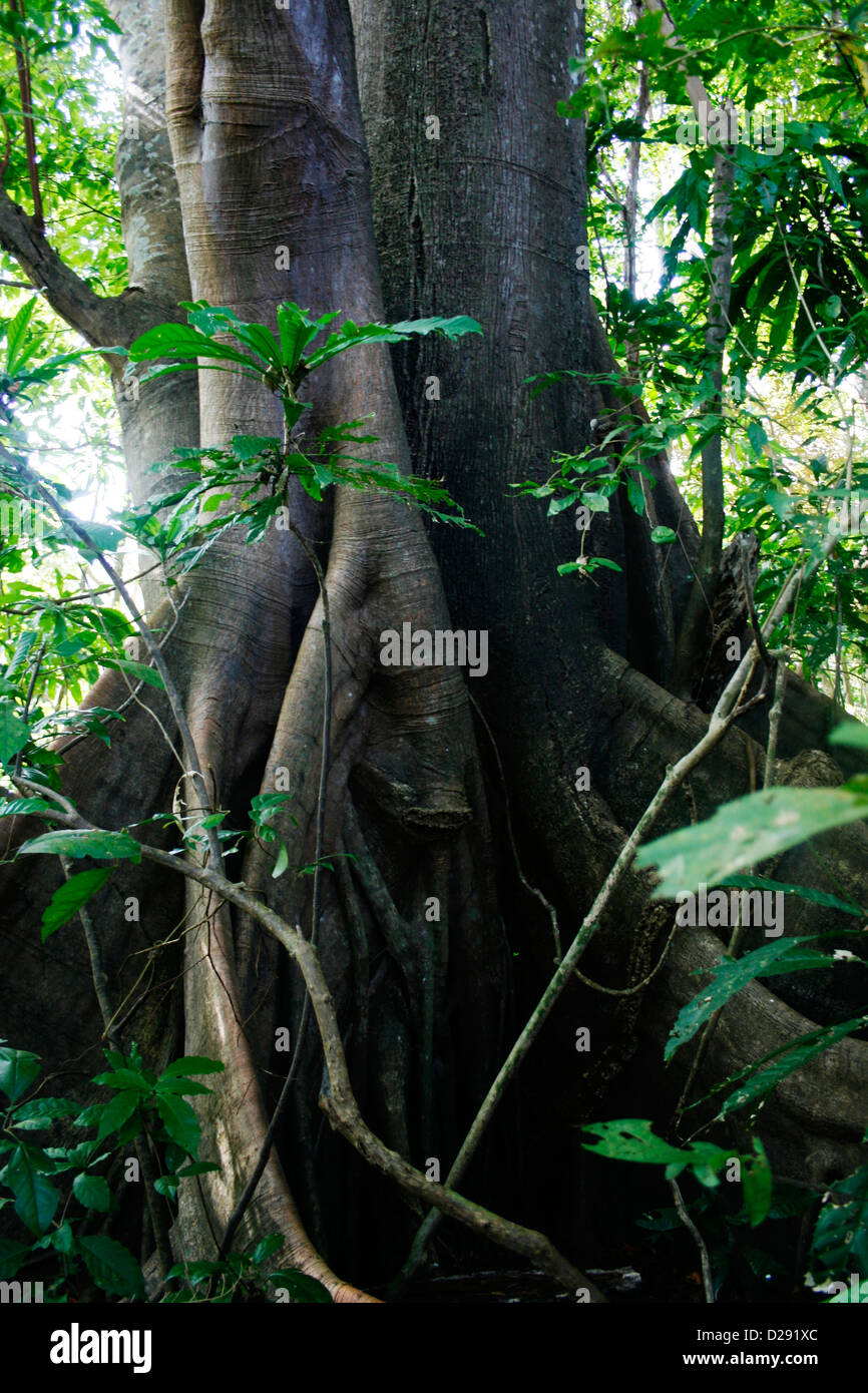 Panama travel hi-res stock photography and images - Alamy
