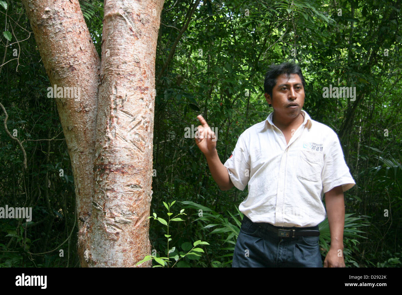 Mayan Guide At Sian Ka'An Biosphere Reserve In Quintana Roo. Mexico ...