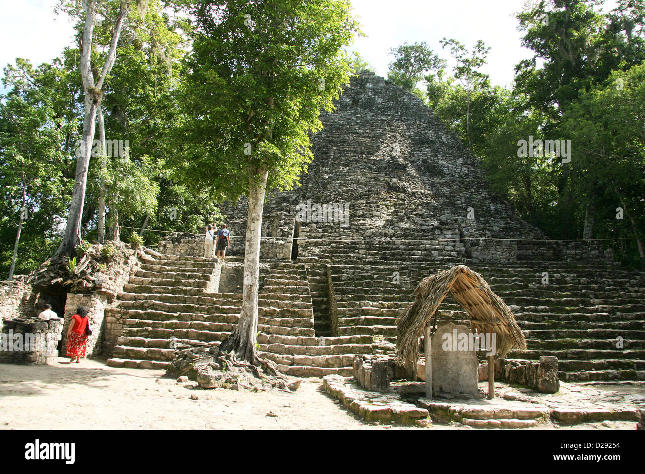 Coba Mayan Ruins. Mexico Stock Photo - Alamy