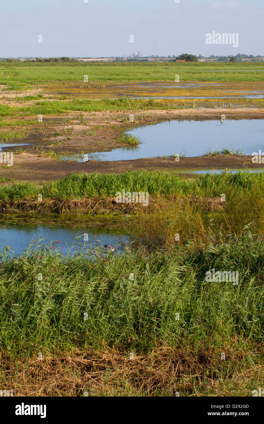 Cathedral Of The Marshes High Resolution Stock Photography and Images ...