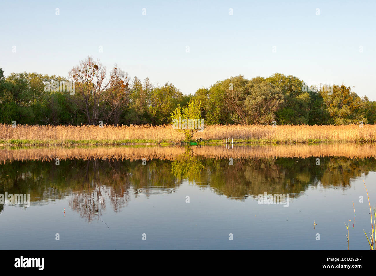 Dusk at Ros river with fishing walkways in the spring, Ukraine Stock ...