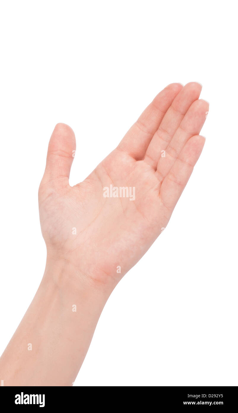 Empty open woman hand on white background Stock Photo - Alamy
