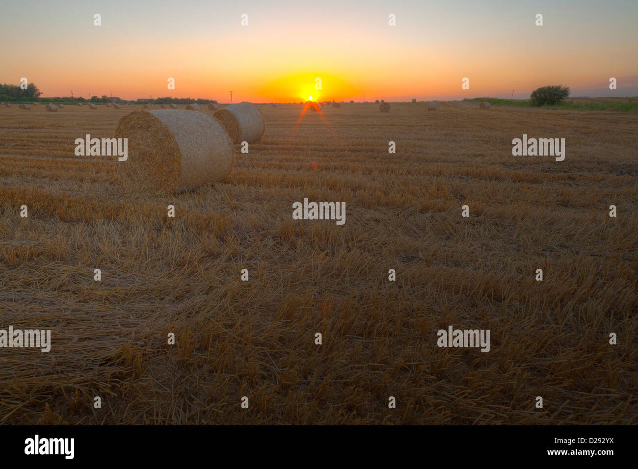 Fenland landscape hi-res stock photography and images - Alamy