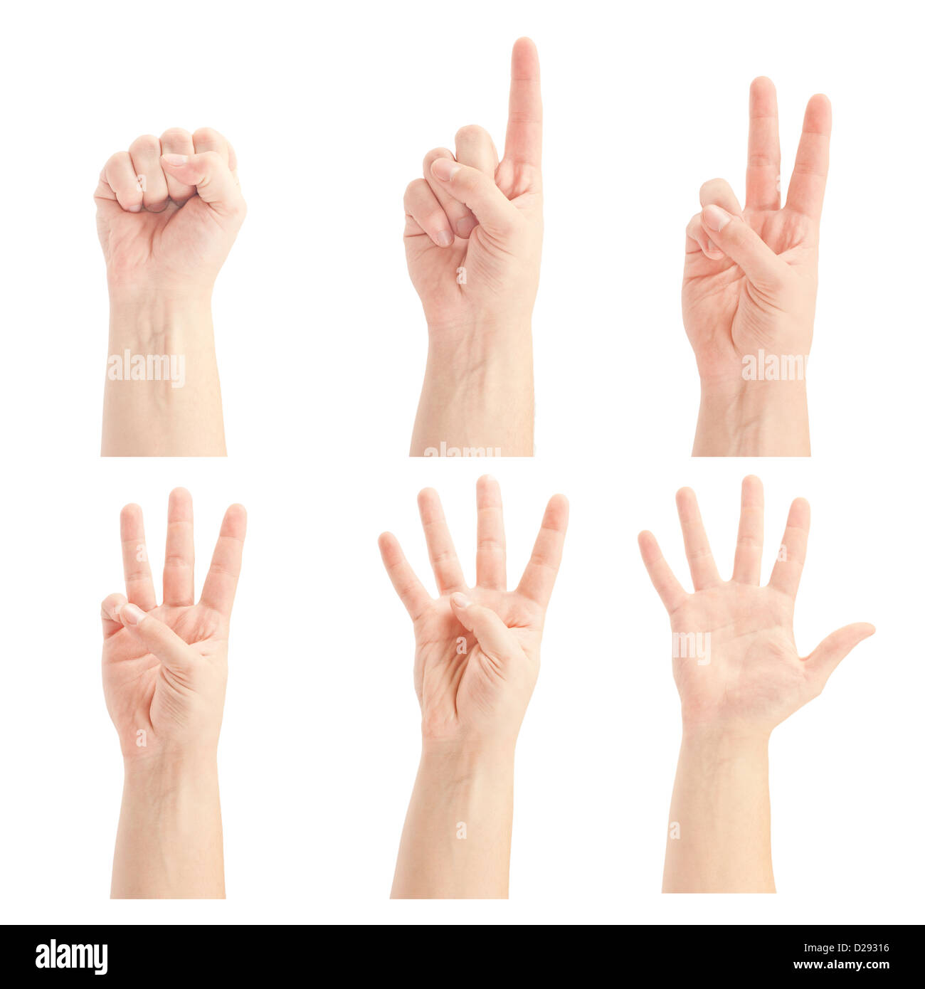 Counting man hands (0 to 5) isolated on white background Stock Photo ...