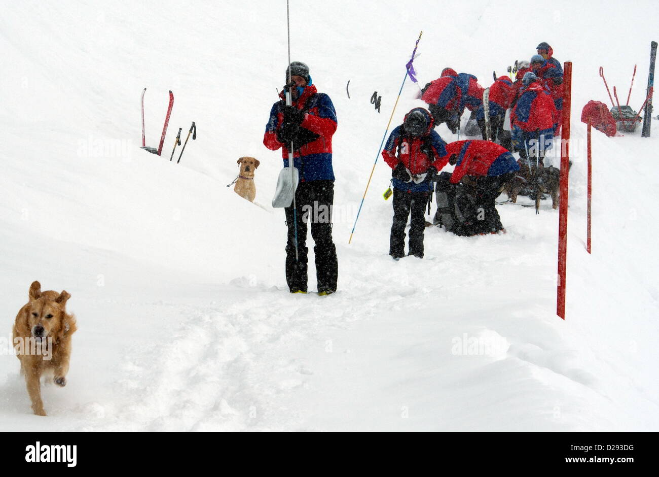 Field rescues people hi-res stock photography and images - Alamy
