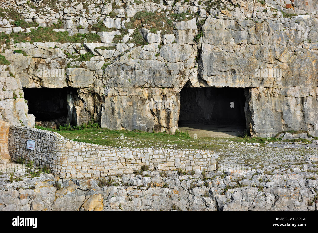 Purbeck caves hi-res stock photography and images - Alamy