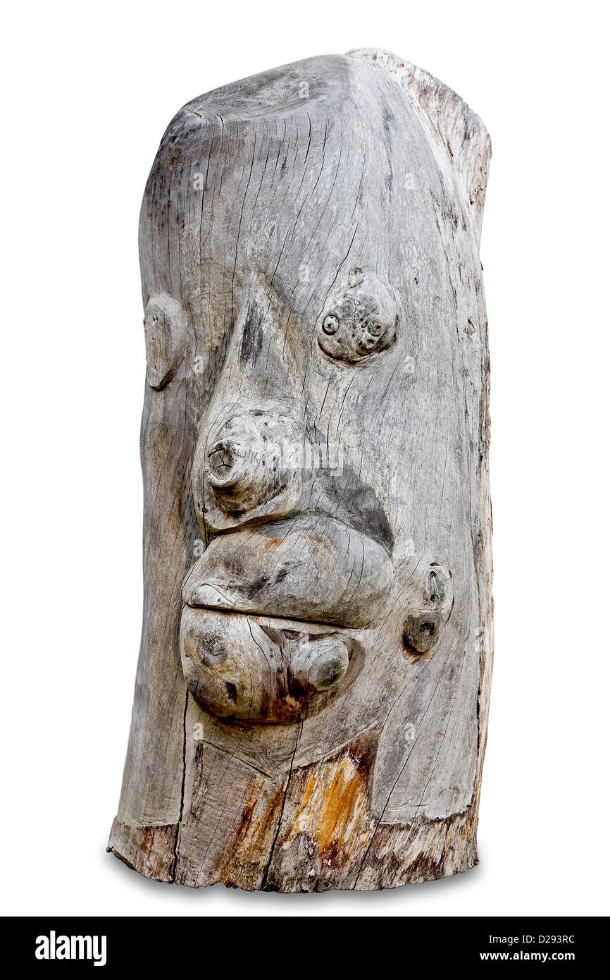 Human looking tree trunk Stock Photo - Alamy