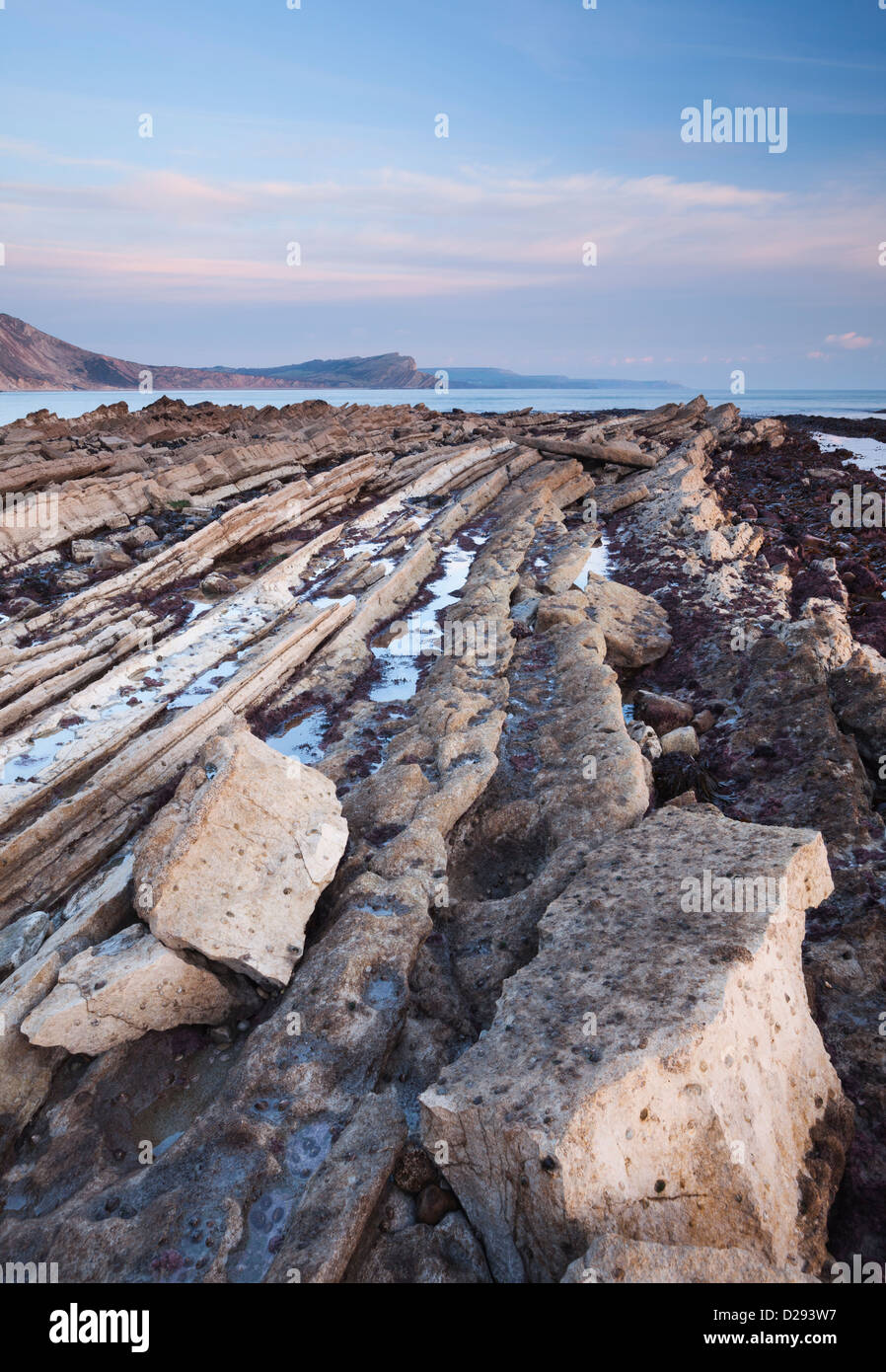 Mupe Bay ledges in Dorset Stock Photo - Alamy