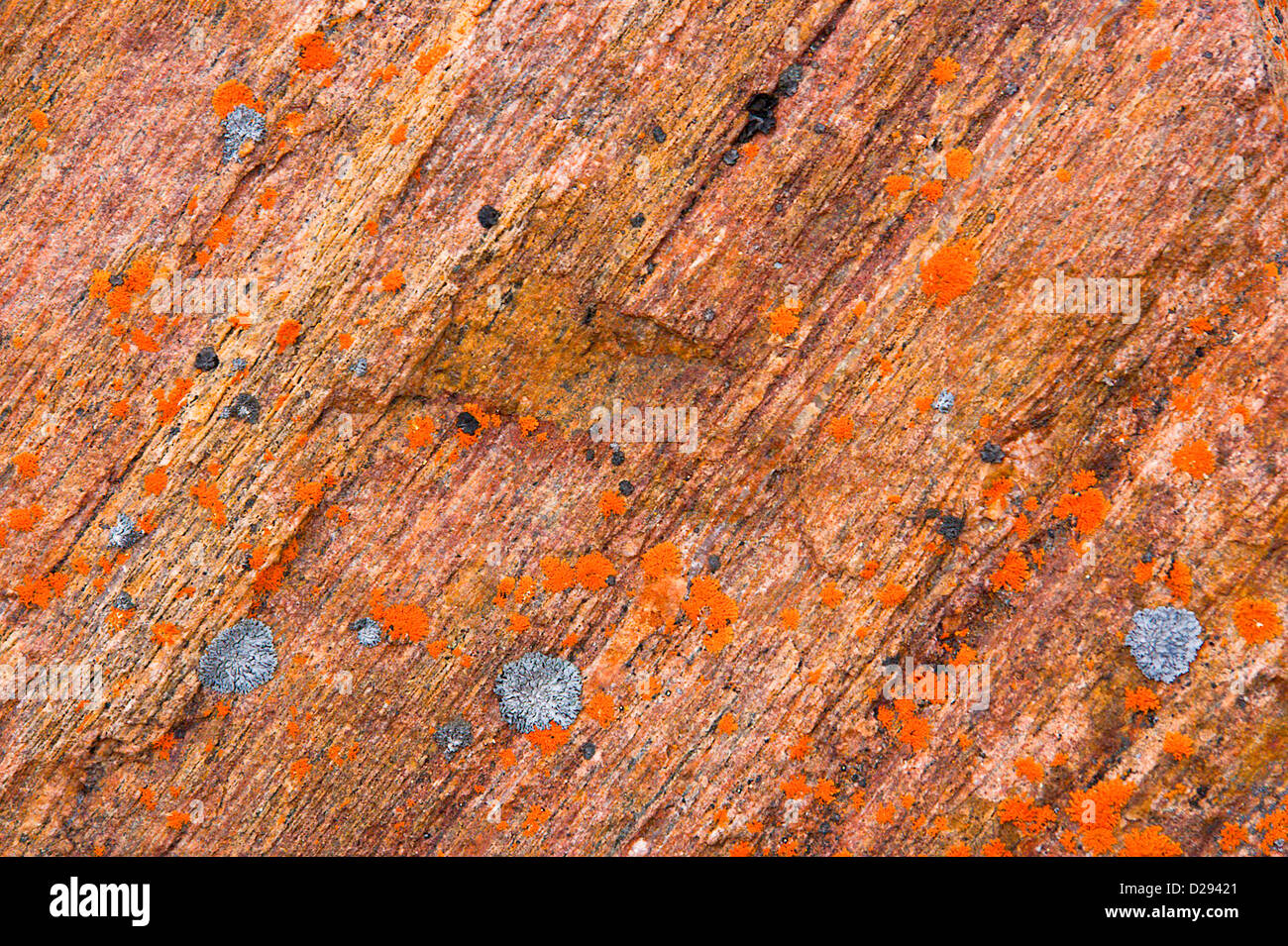 Fort Ross Canada High Resolution Stock Photography and Images - Alamy