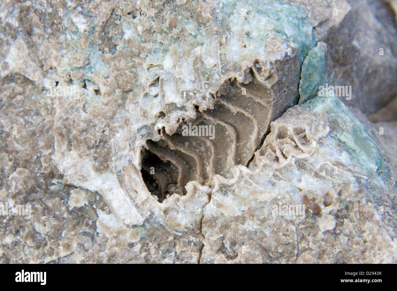 Beechy hi-res stock photography and images - Alamy