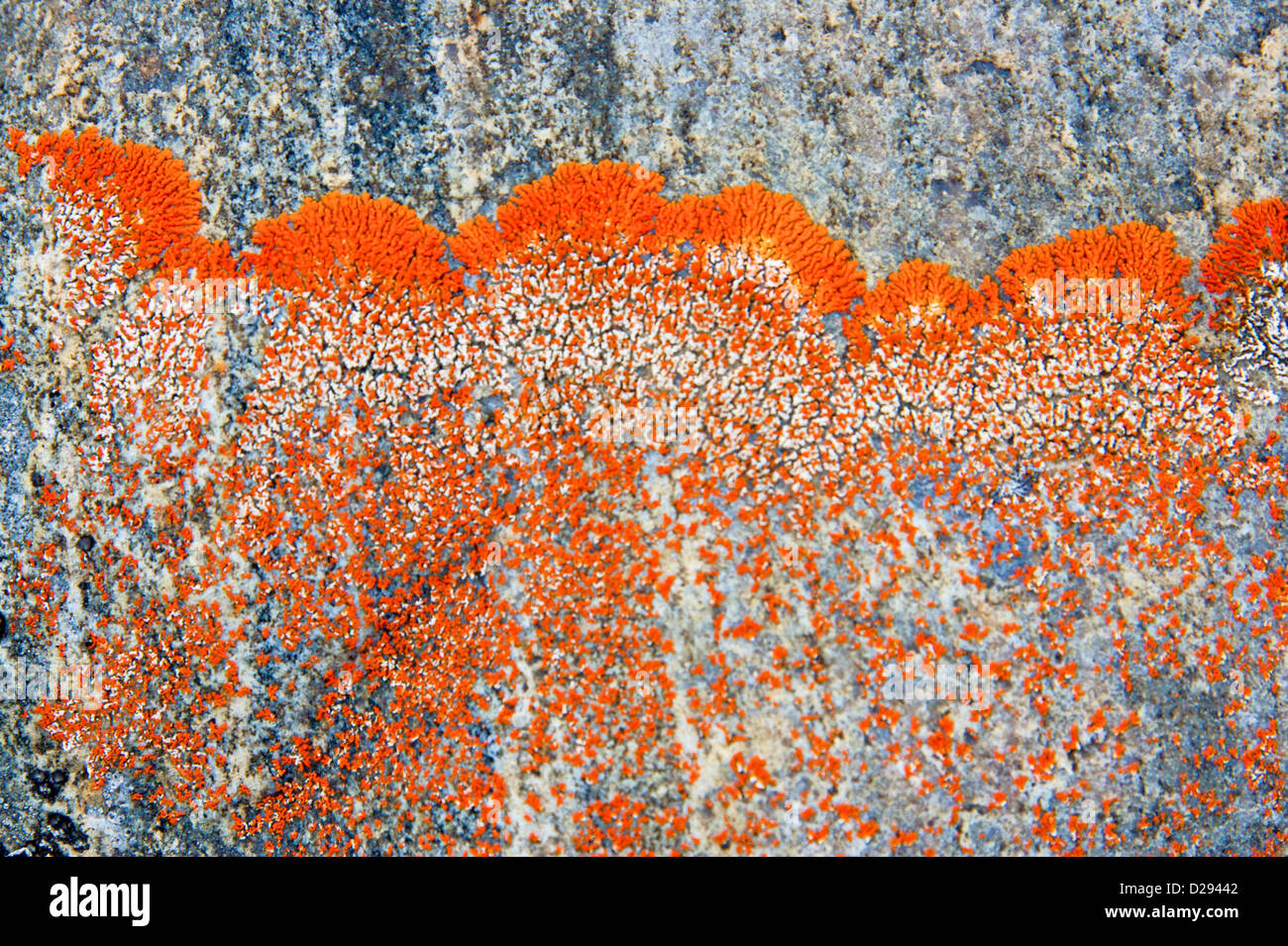 Fort Ross Canada High Resolution Stock Photography and Images - Alamy